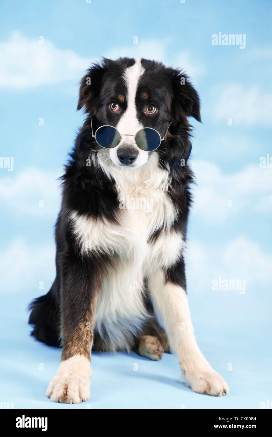 Hangdog look hi-res stock photography and images - Alamy