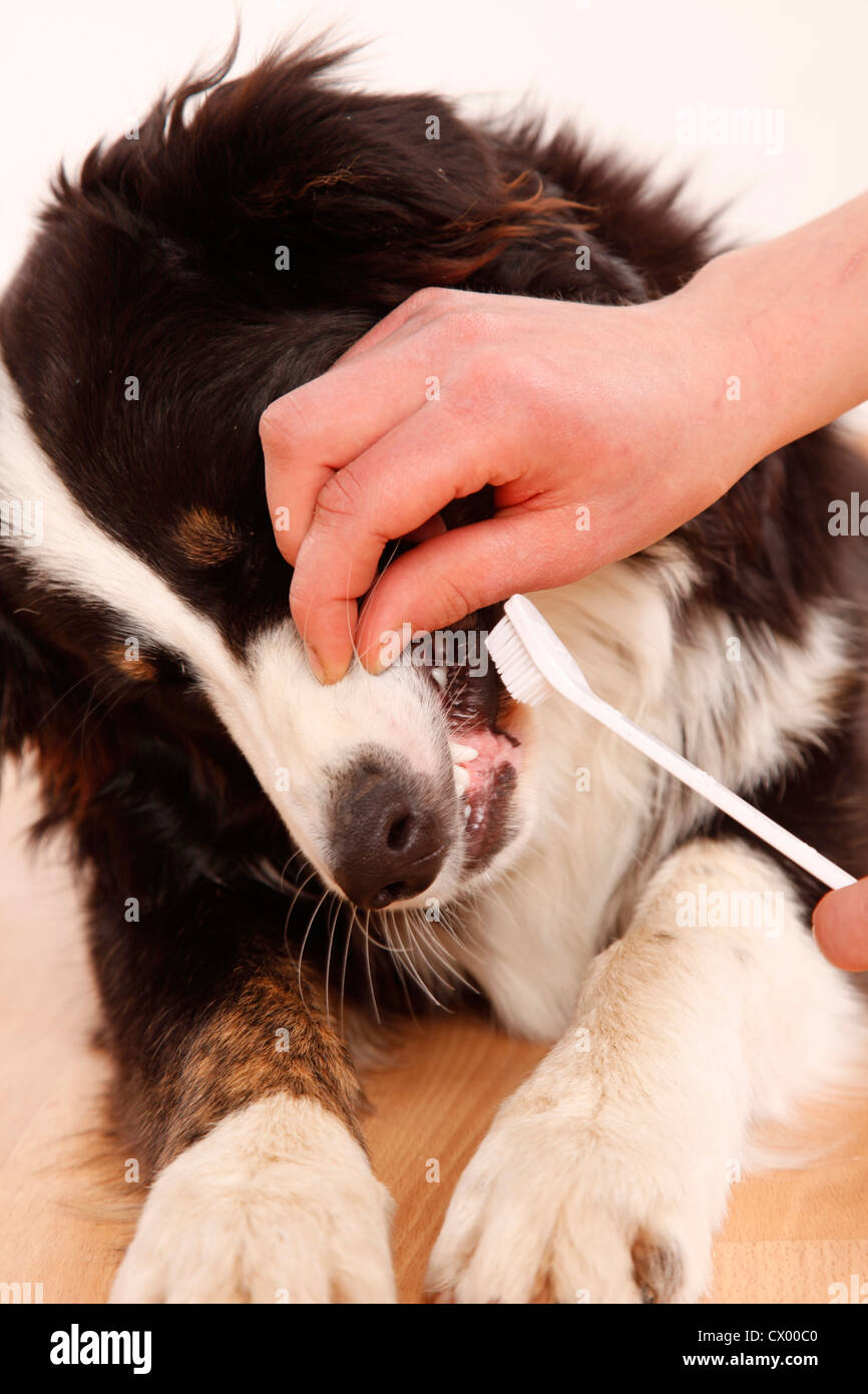 Hygiene vertical 1 person 1 hi-res stock photography and images - Alamy