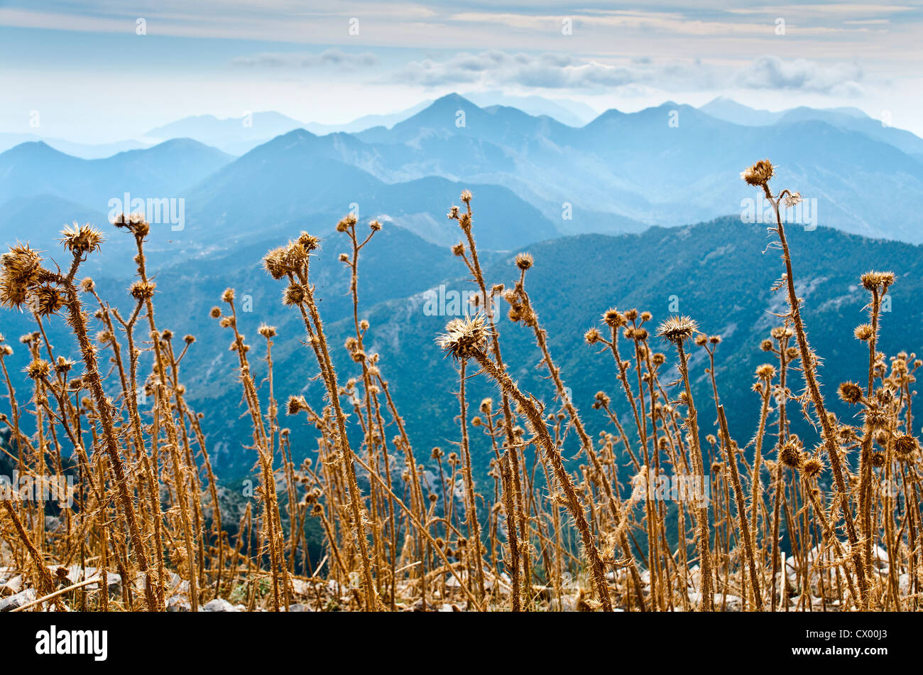 Taygetus mountains hi-res stock photography and images - Alamy