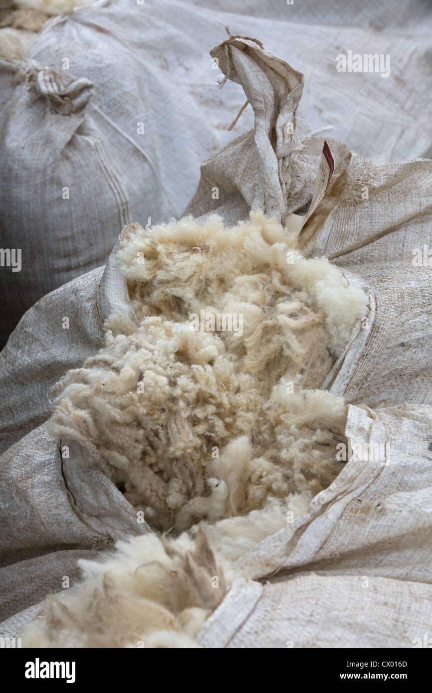 Wool in sacks after sheep shearing Stock Photo - Alamy