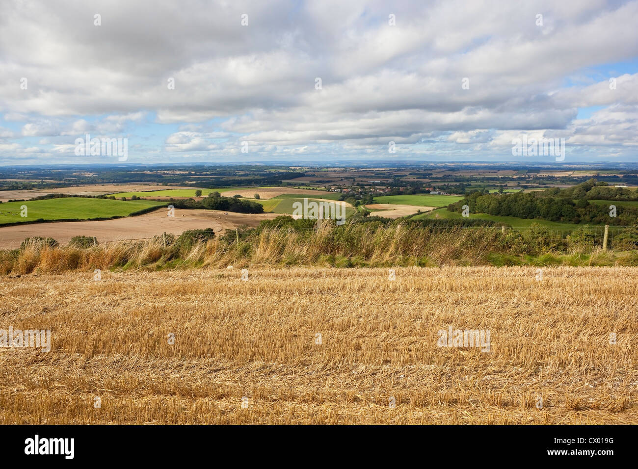 Yorkshire wolds landscape at harvest time with a view of distant ...