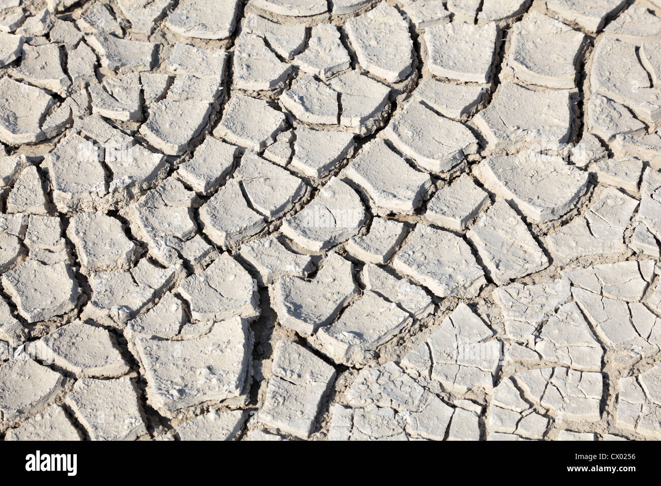 Cracked soil in the desert. Doha, Qatar Middle East Stock Photo - Alamy