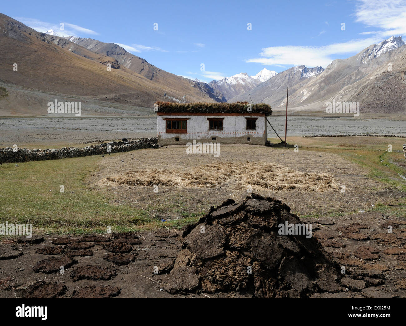 Pile of dried cow dung hi-res stock photography and images - Alamy