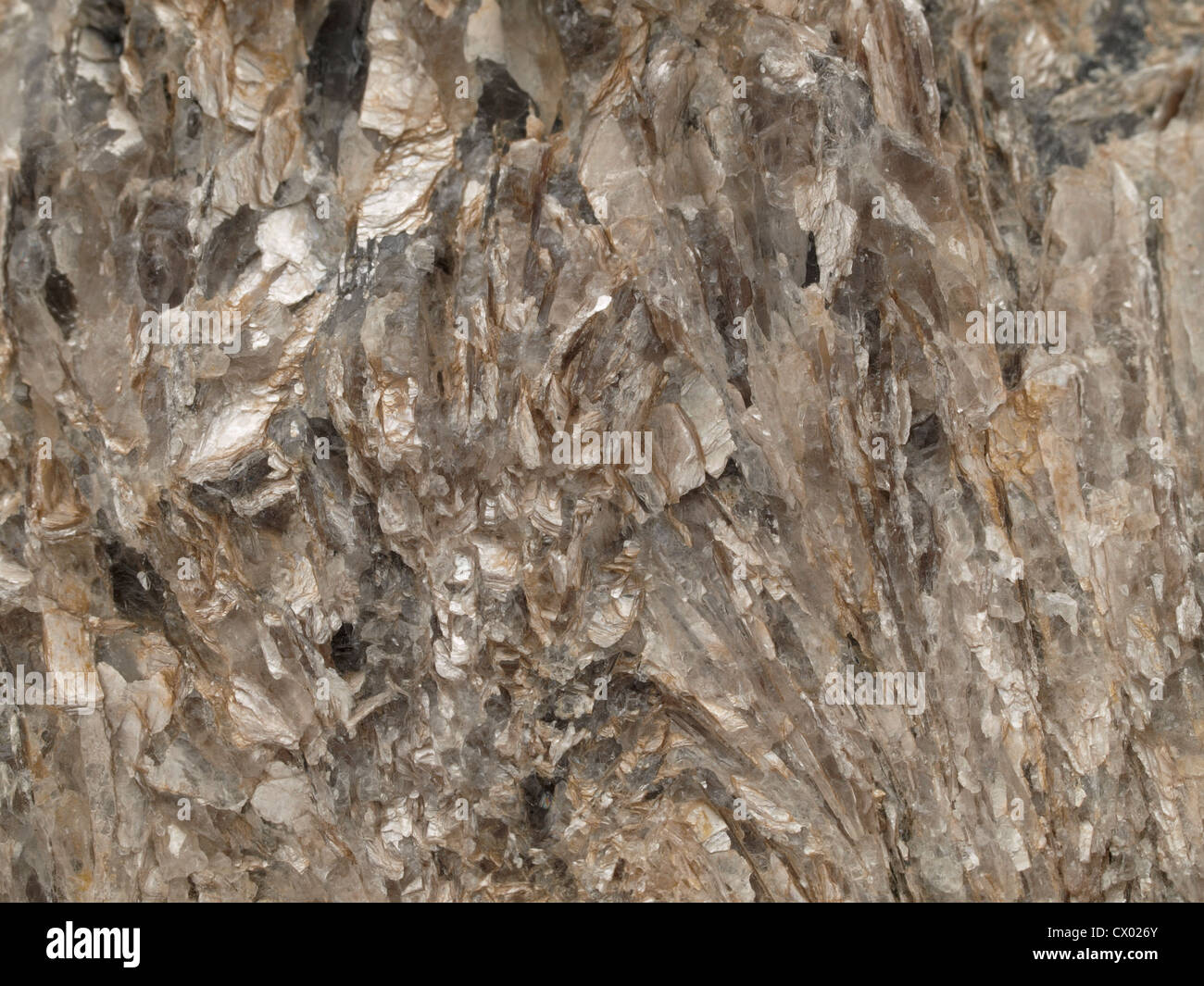 Zinnwaldite - brown mica; Zinnwald / Cinovec, Czech Republic Stock ...
