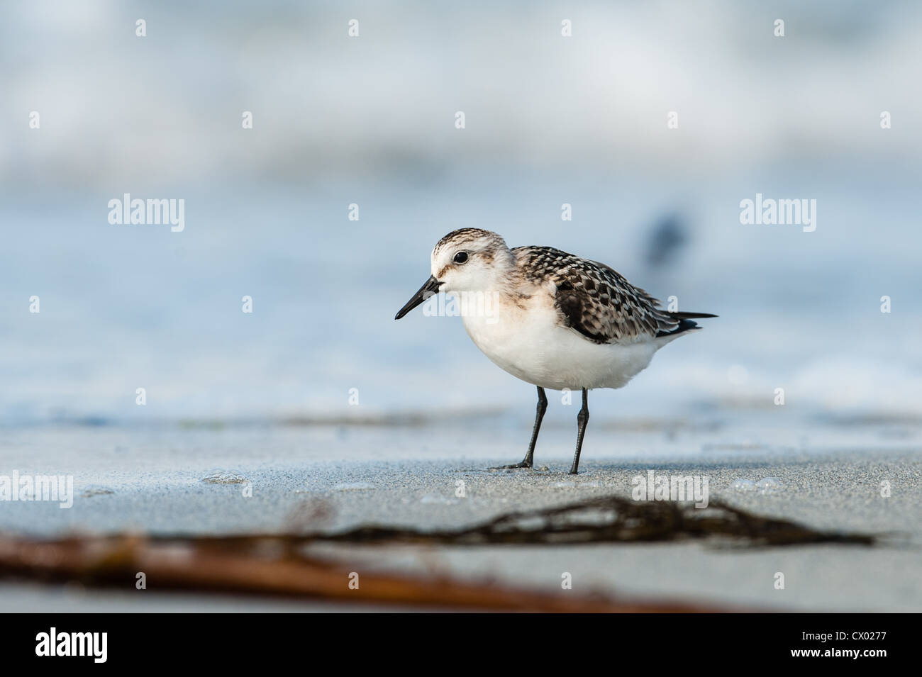 Size of norway hi-res stock photography and images - Alamy