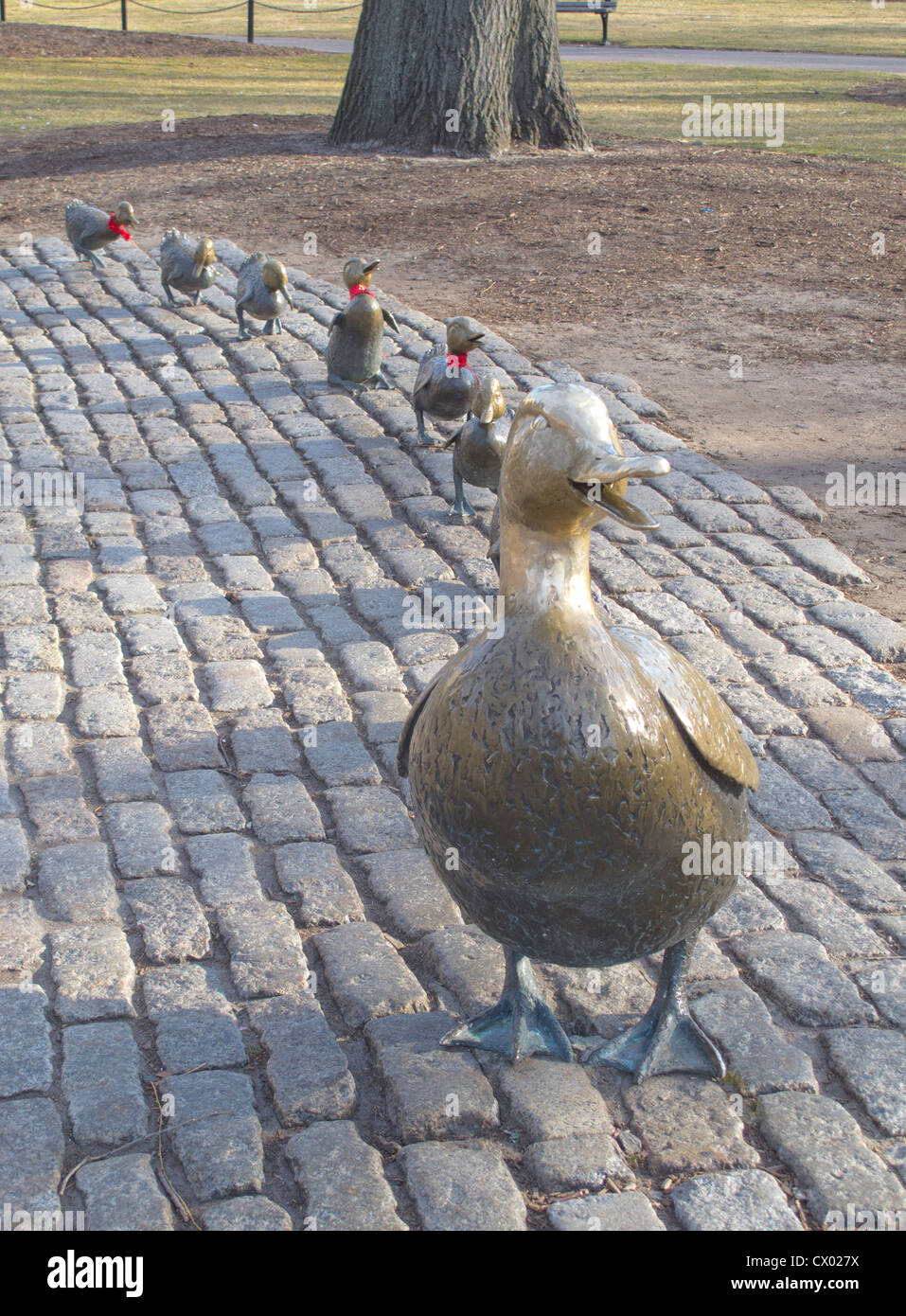 Make Way duck sculptures by Nancy Schön in Boston's Public Garden Stock ...
