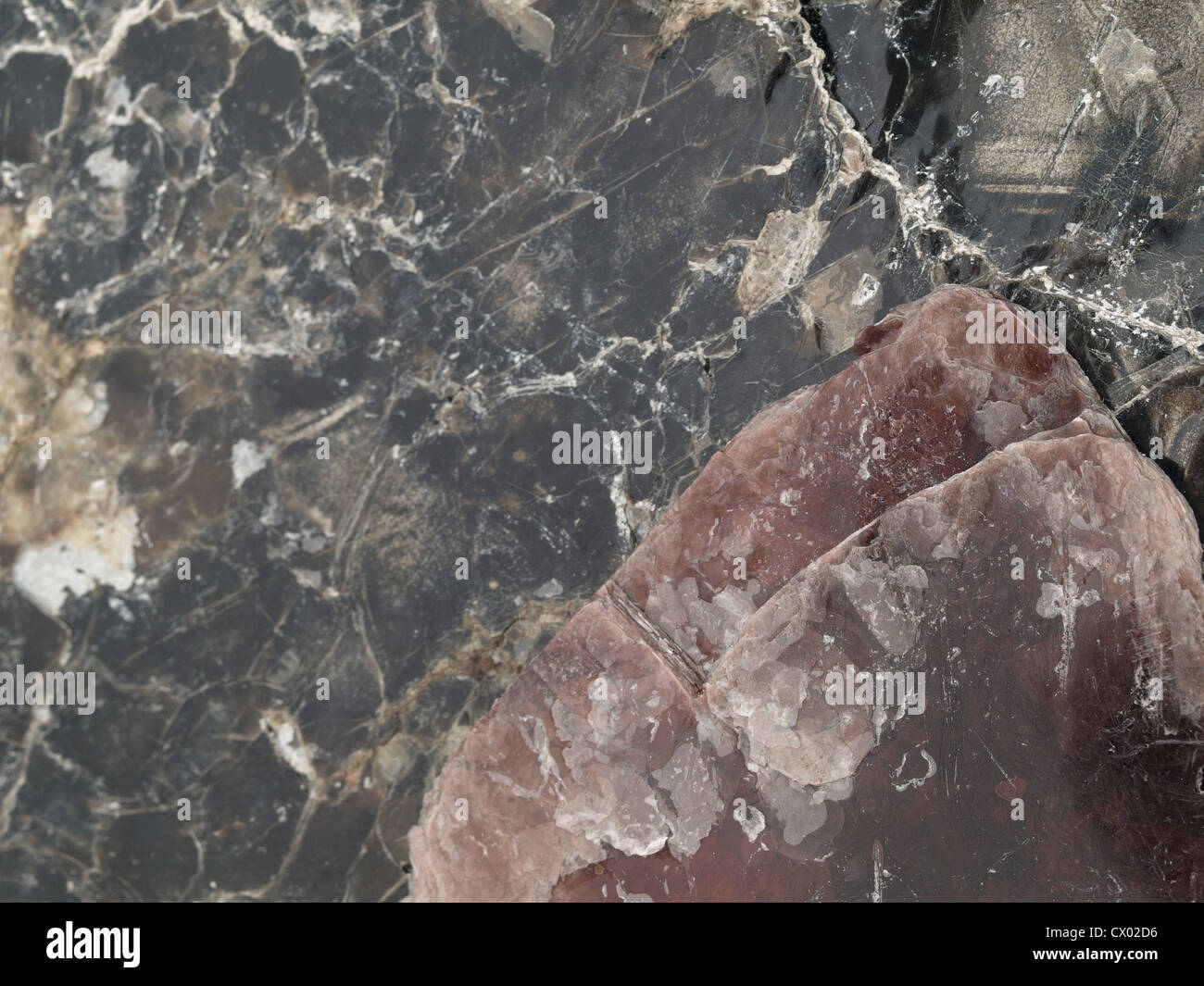 Tetraflogopite hi-res stock photography and images - Alamy