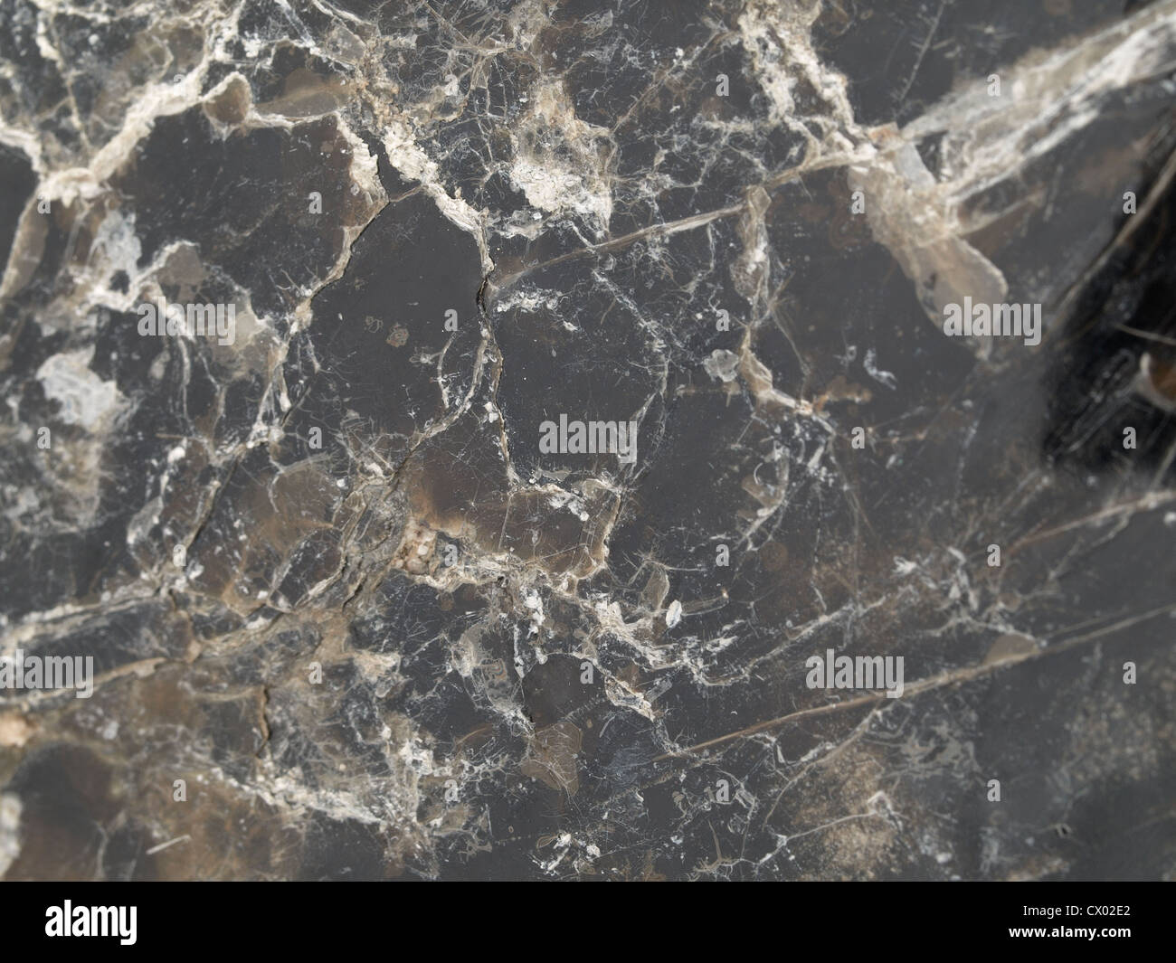 Phlogopite hi-res stock photography and images - Alamy