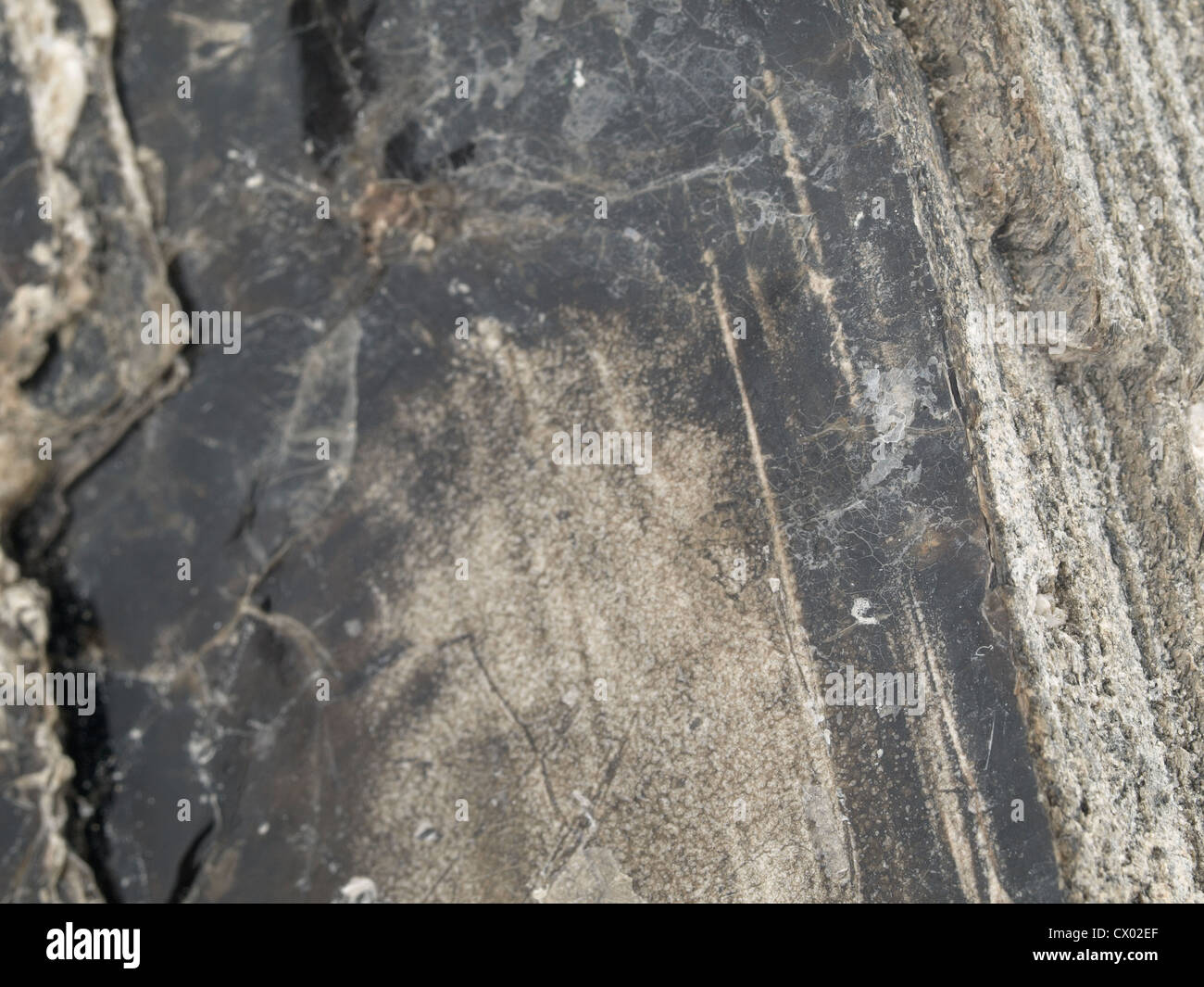 Phlogopite hi-res stock photography and images - Alamy
