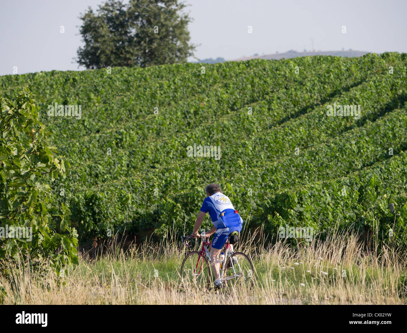 Vineyard france bike hi-res stock photography and images - Alamy