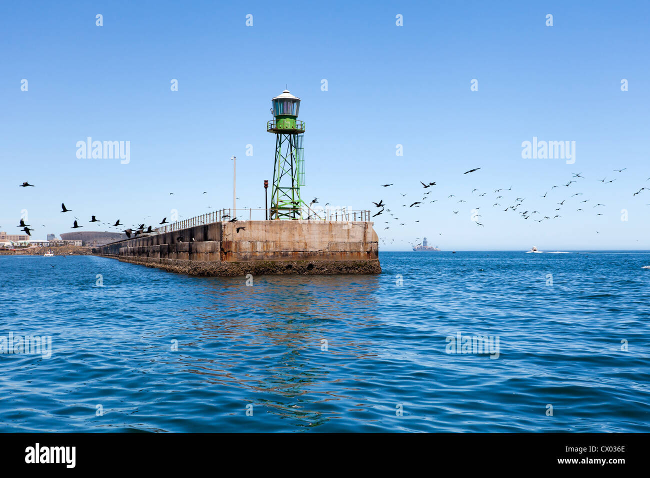 Flying birds over pier hi-res stock photography and images - Alamy