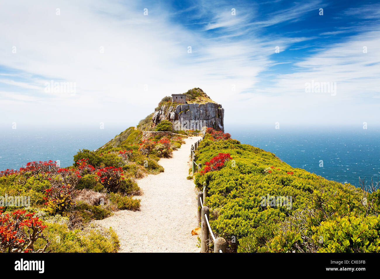Cape point reserve hi-res stock photography and images - Alamy