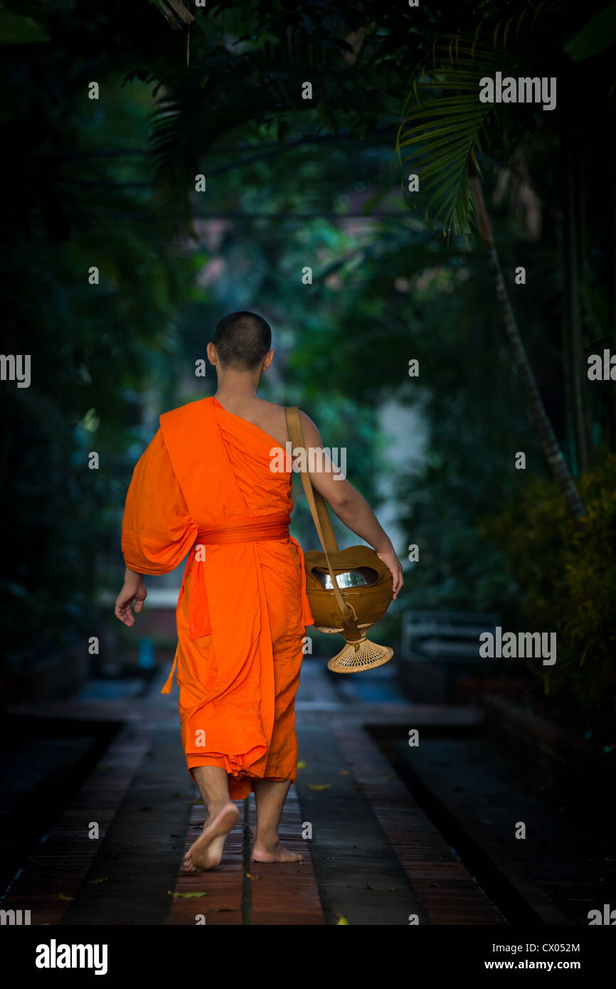 Buddhist monk in the early morning heading home after having gathered ...