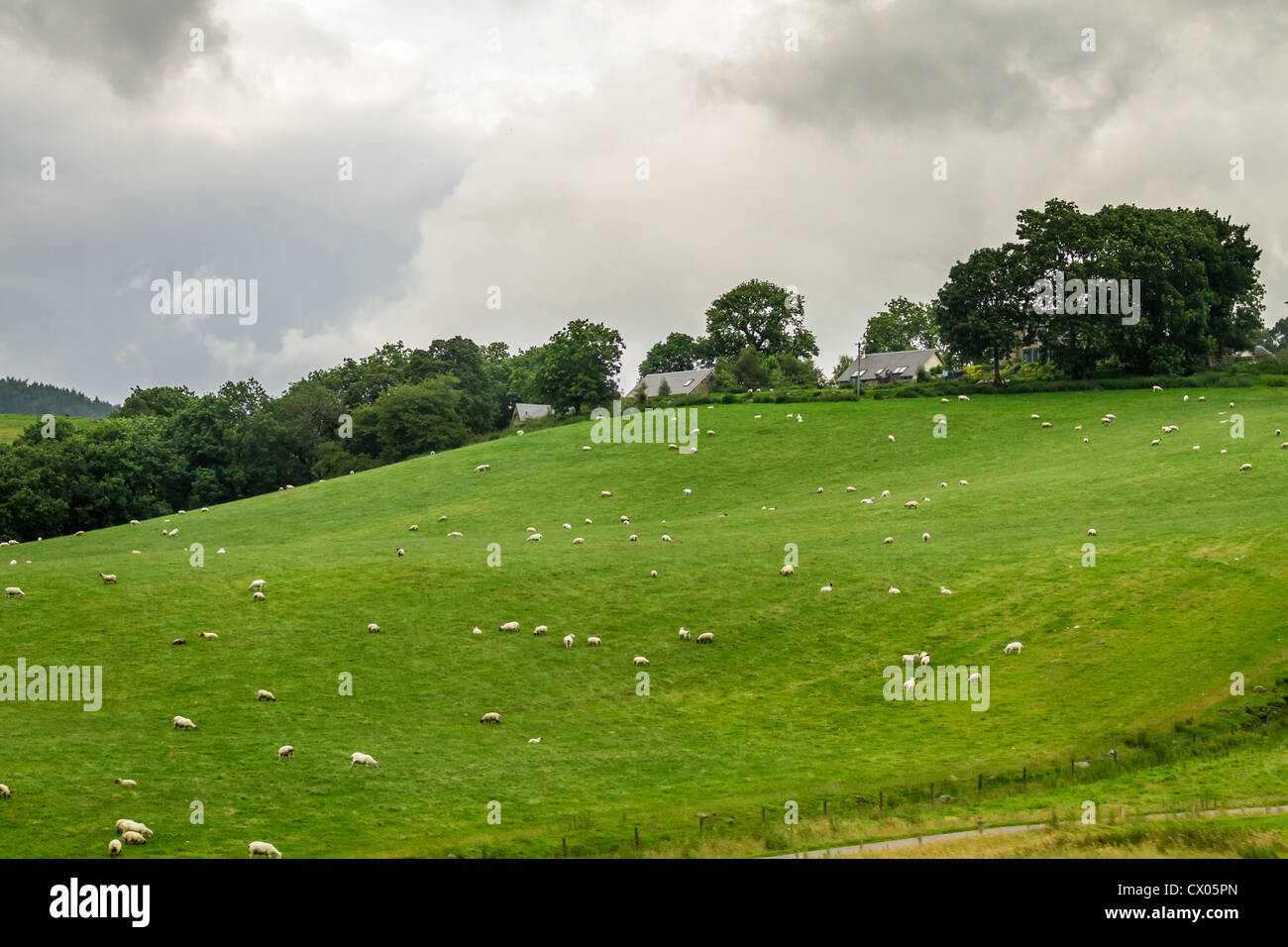 Farm in Scotland Stock Photo - Alamy