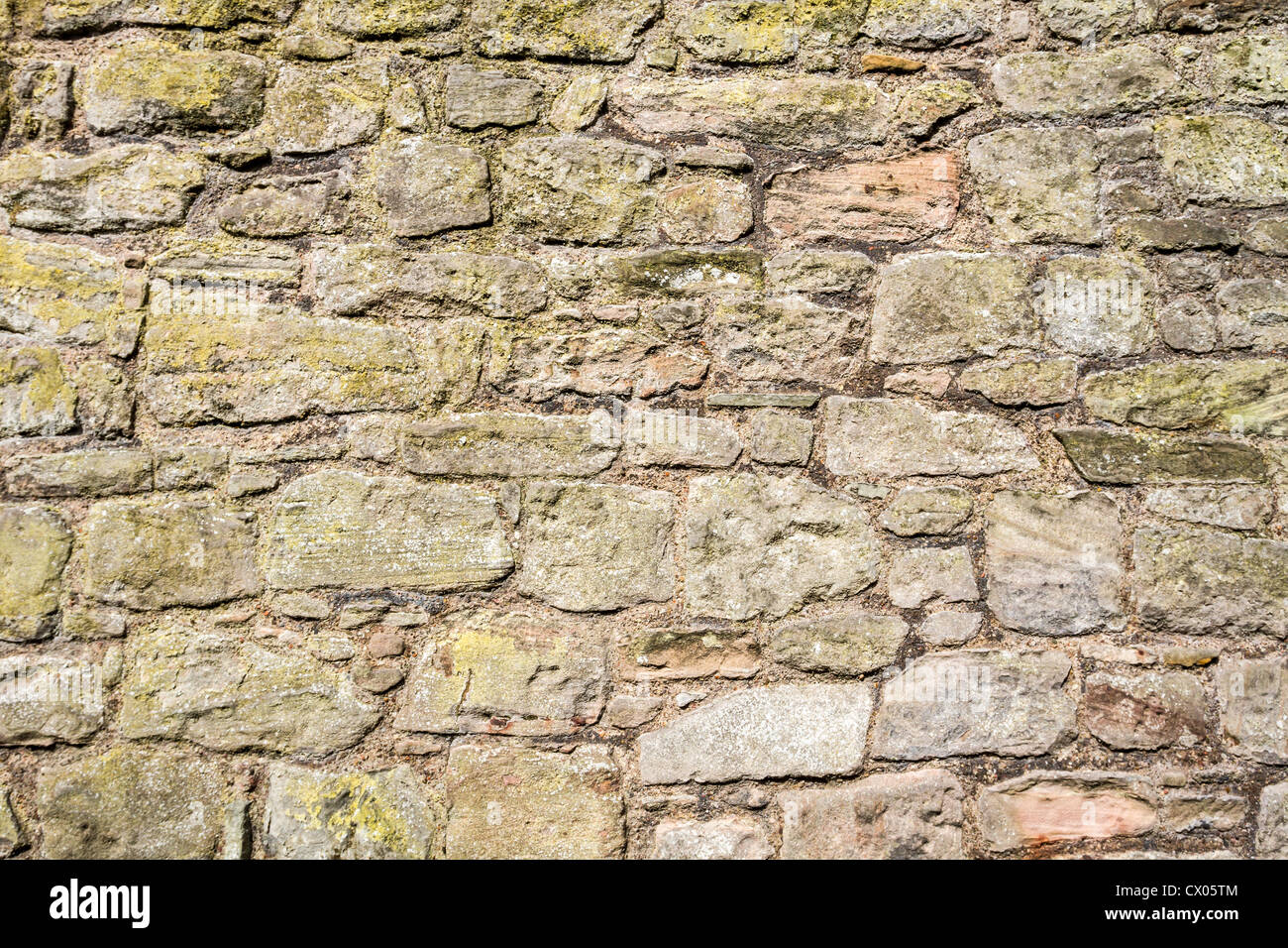 Old ancient wall in Scotland Stock Photo - Alamy