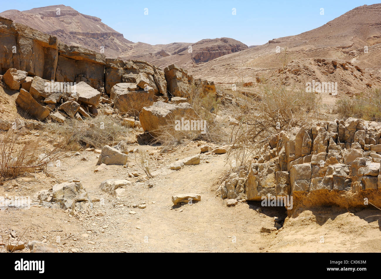 Stones of Makhtesh Ramon, unique crater in Israel Stock Photo - Alamy