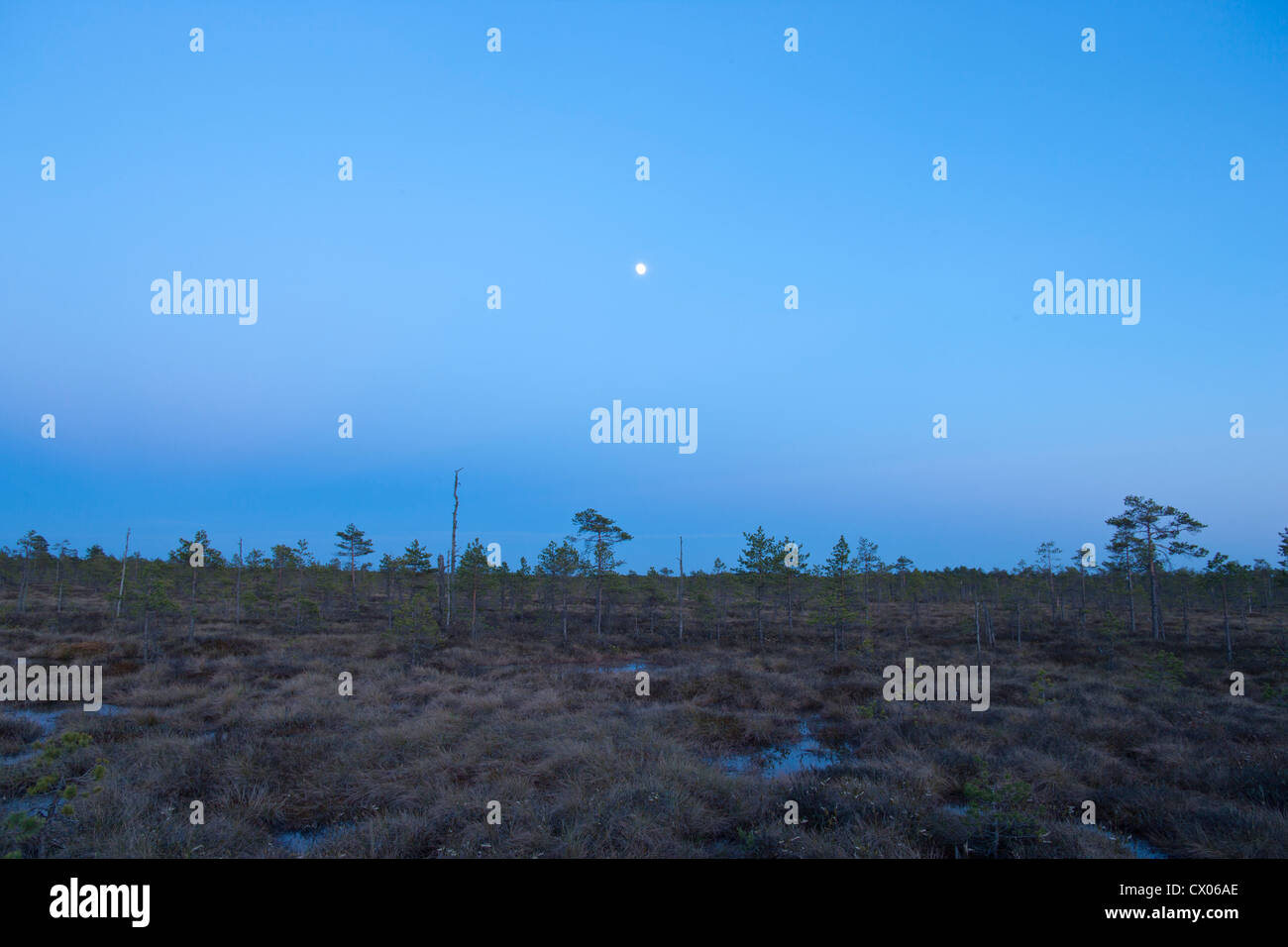 Pristine night sky hi-res stock photography and images - Alamy