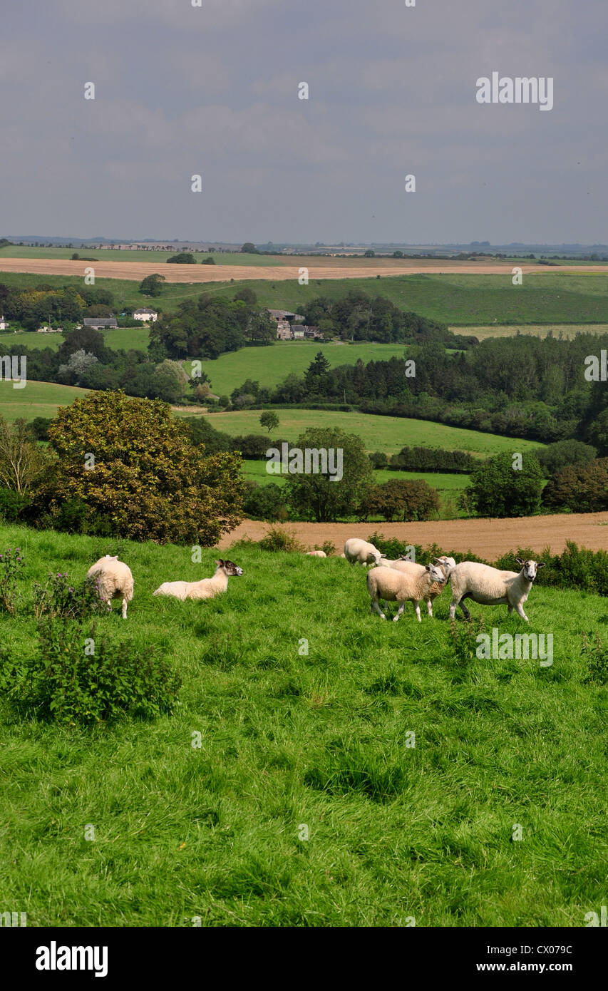 Compton farm hi-res stock photography and images - Alamy