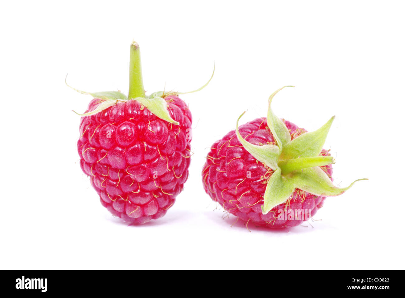raspberry closeup isolated on white background Stock Photo - Alamy