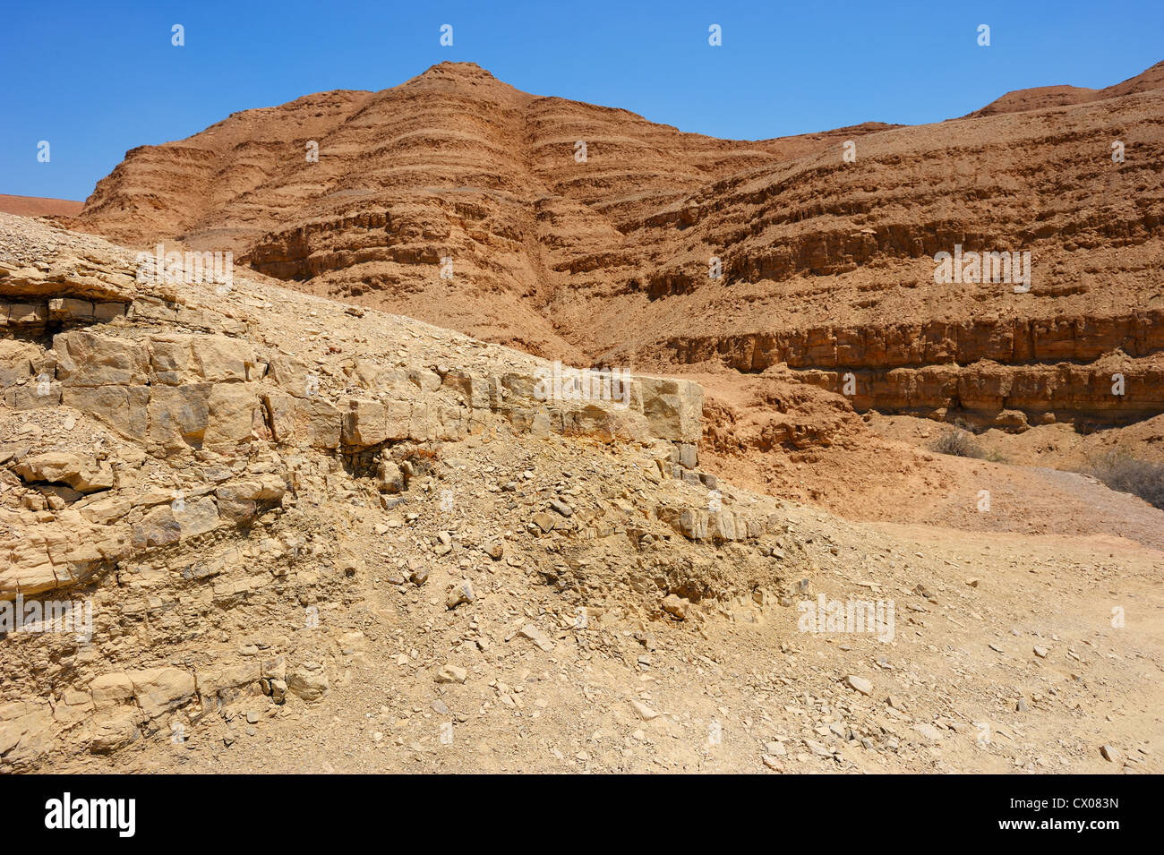 Stones of Makhtesh Ramon, unique crater in Israel Stock Photo - Alamy