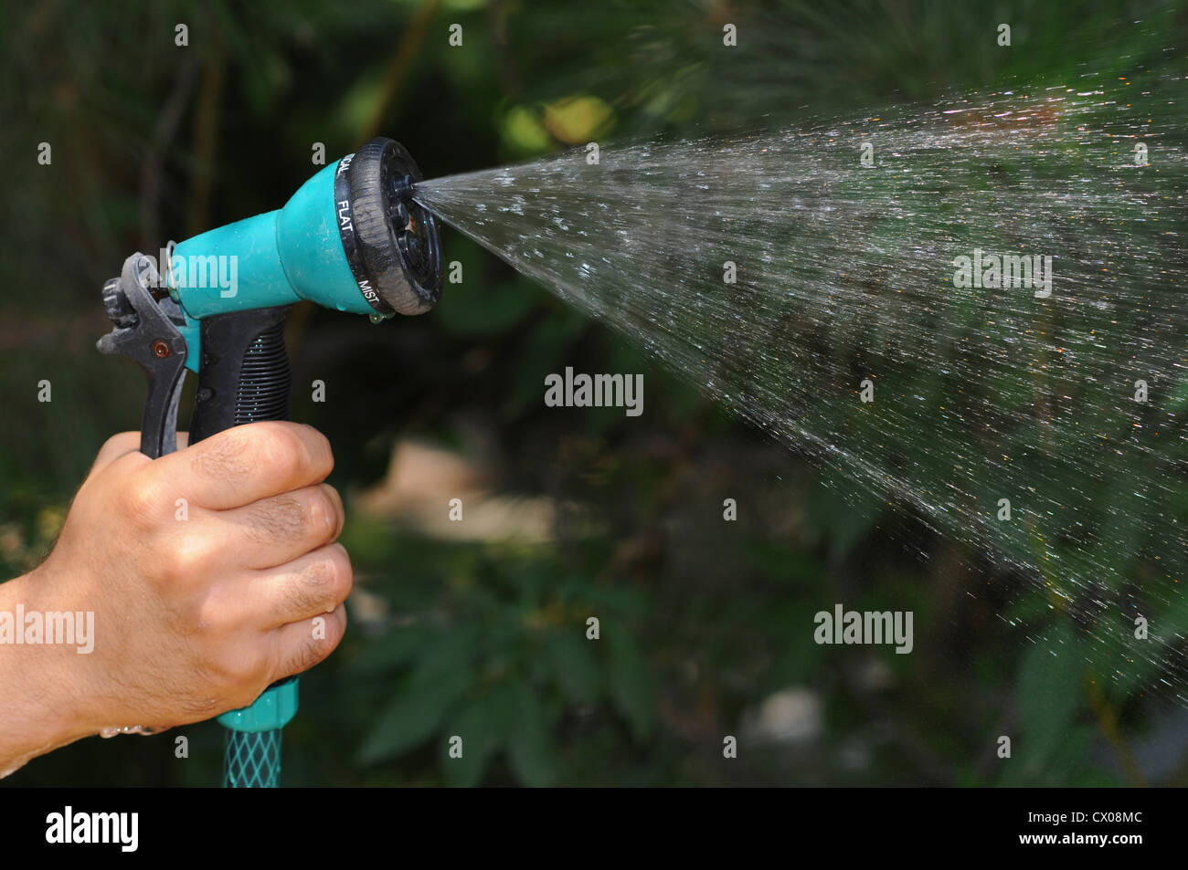 Gardener water spraying Stock Photo - Alamy