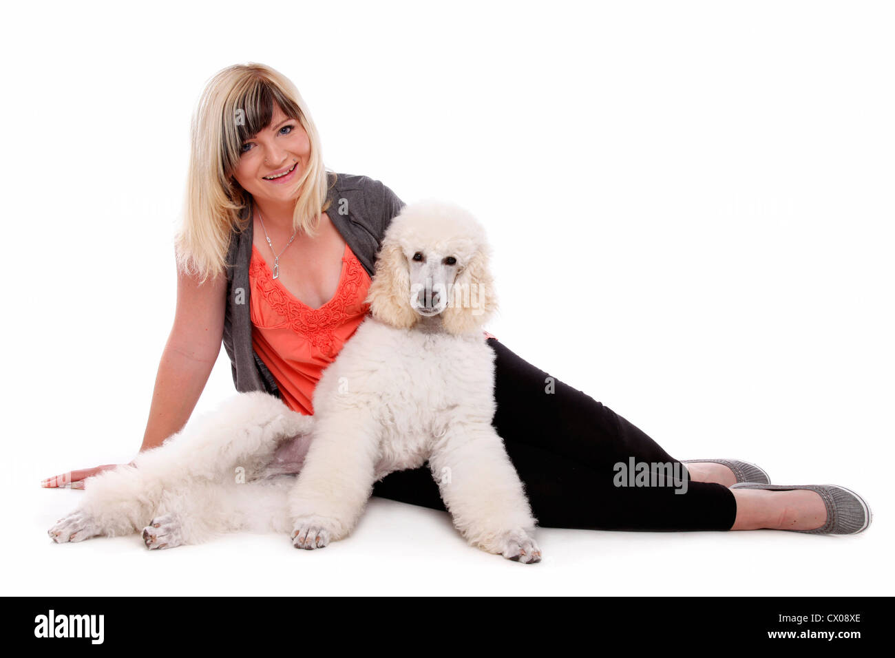 Giant white poodle Cut Out Stock Images & Pictures - Alamy