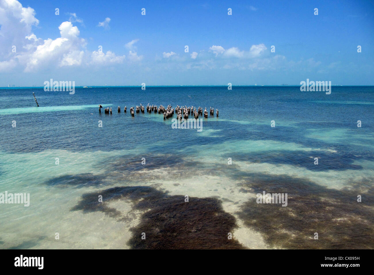 Mexico, Quintana Roo region, Isla Mujeres Stock Photo - Alamy
