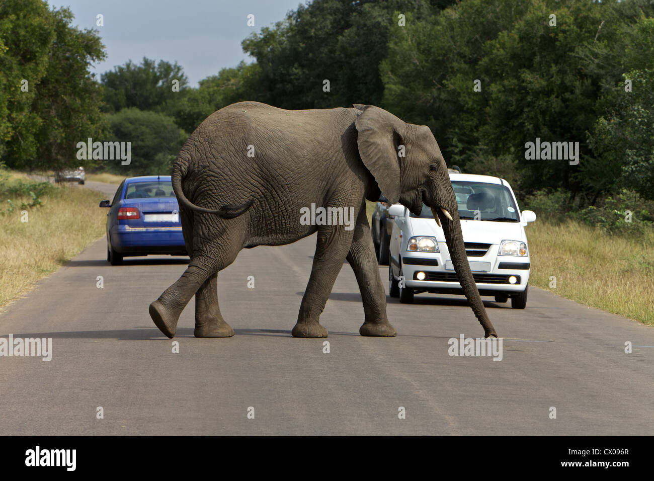 South african driving hi-res stock photography and images - Alamy