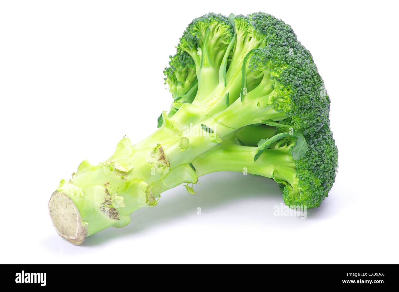 Ripe broccoli isolated on white Stock Photo - Alamy