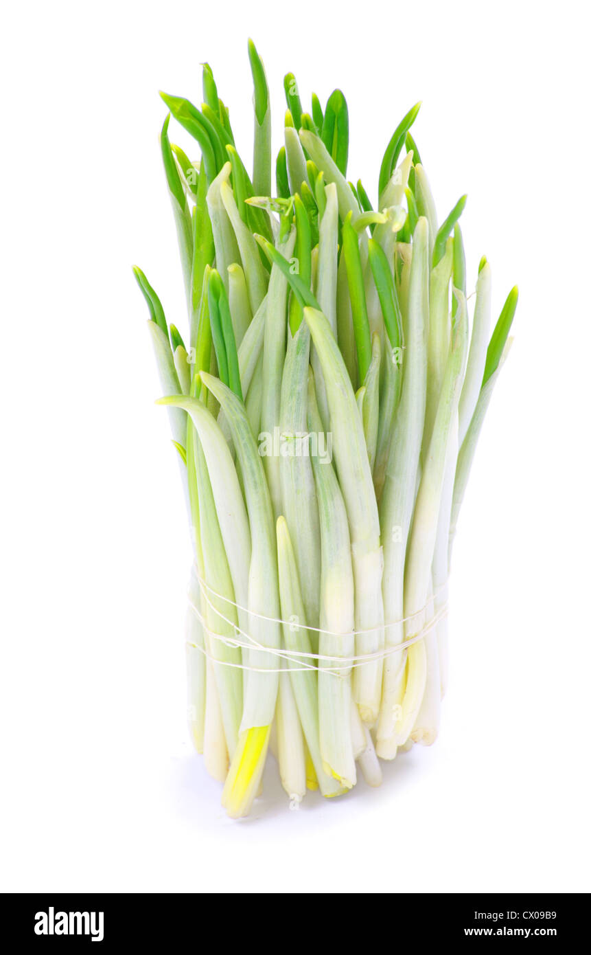ramson bunch vegetable isolated on white background Stock Photo - Alamy
