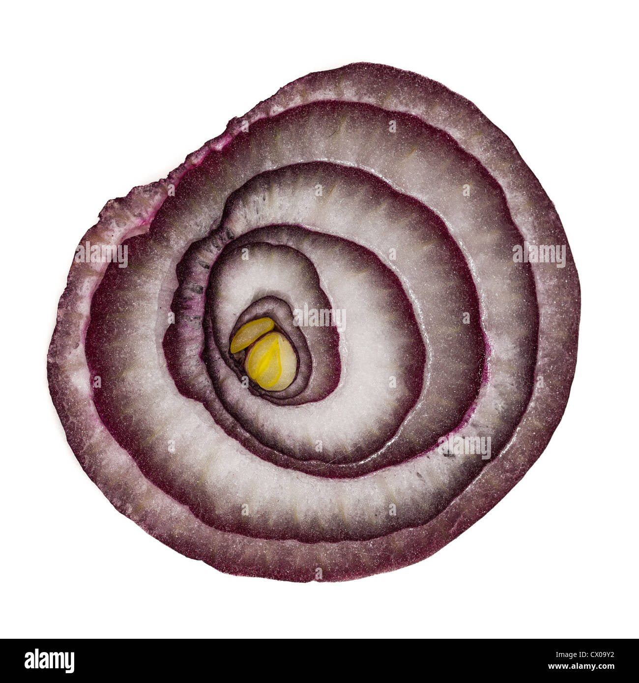 Cross section through red onion hi-res stock photography and images - Alamy