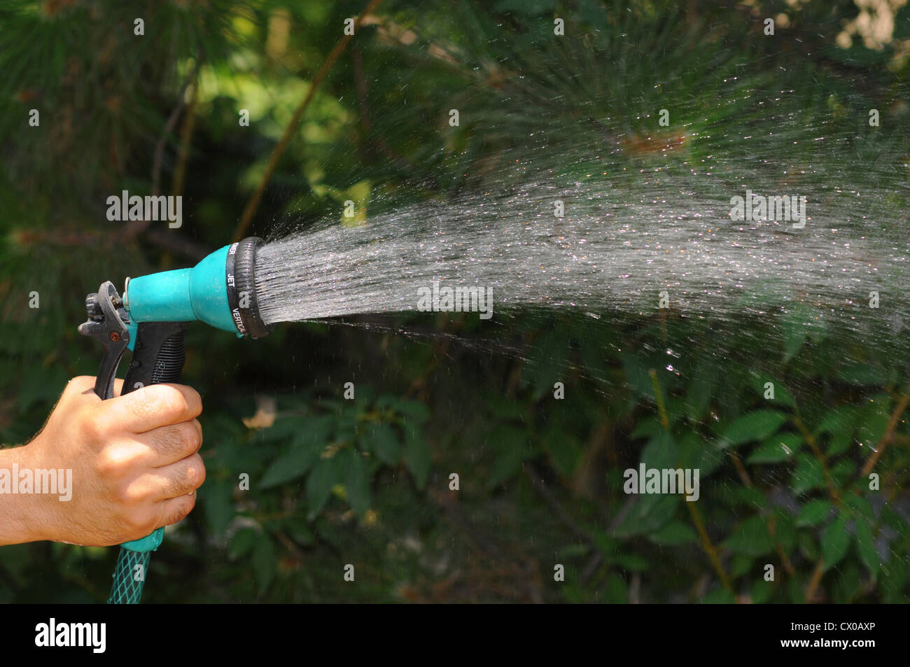 Spraying water in the garden Stock Photo - Alamy
