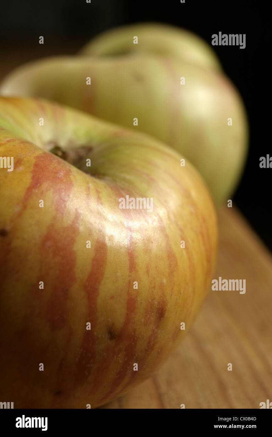 Picture: Steve Race - Freshly picked Bramley's Seedling apples (Malus ...