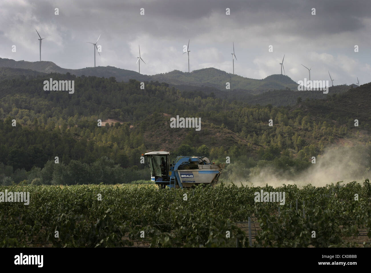 Mechanical grape harvesting hi-res stock photography and images - Alamy