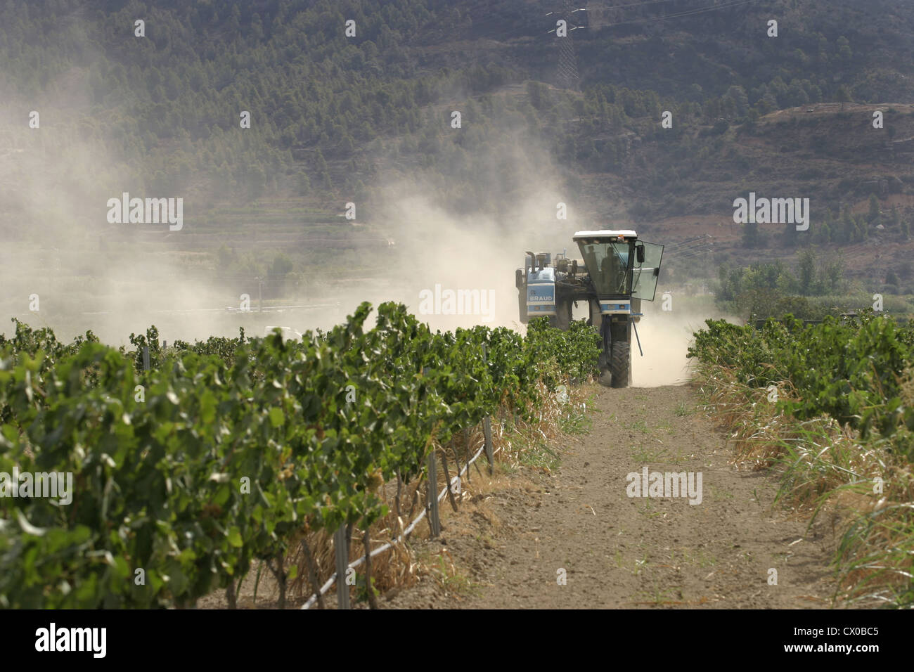 Mechanical grape harvesting hi-res stock photography and images - Alamy