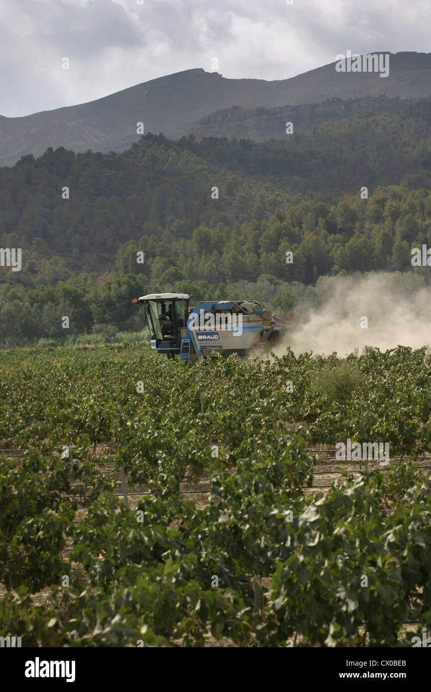 Mechanical grape harvesting hi-res stock photography and images - Alamy