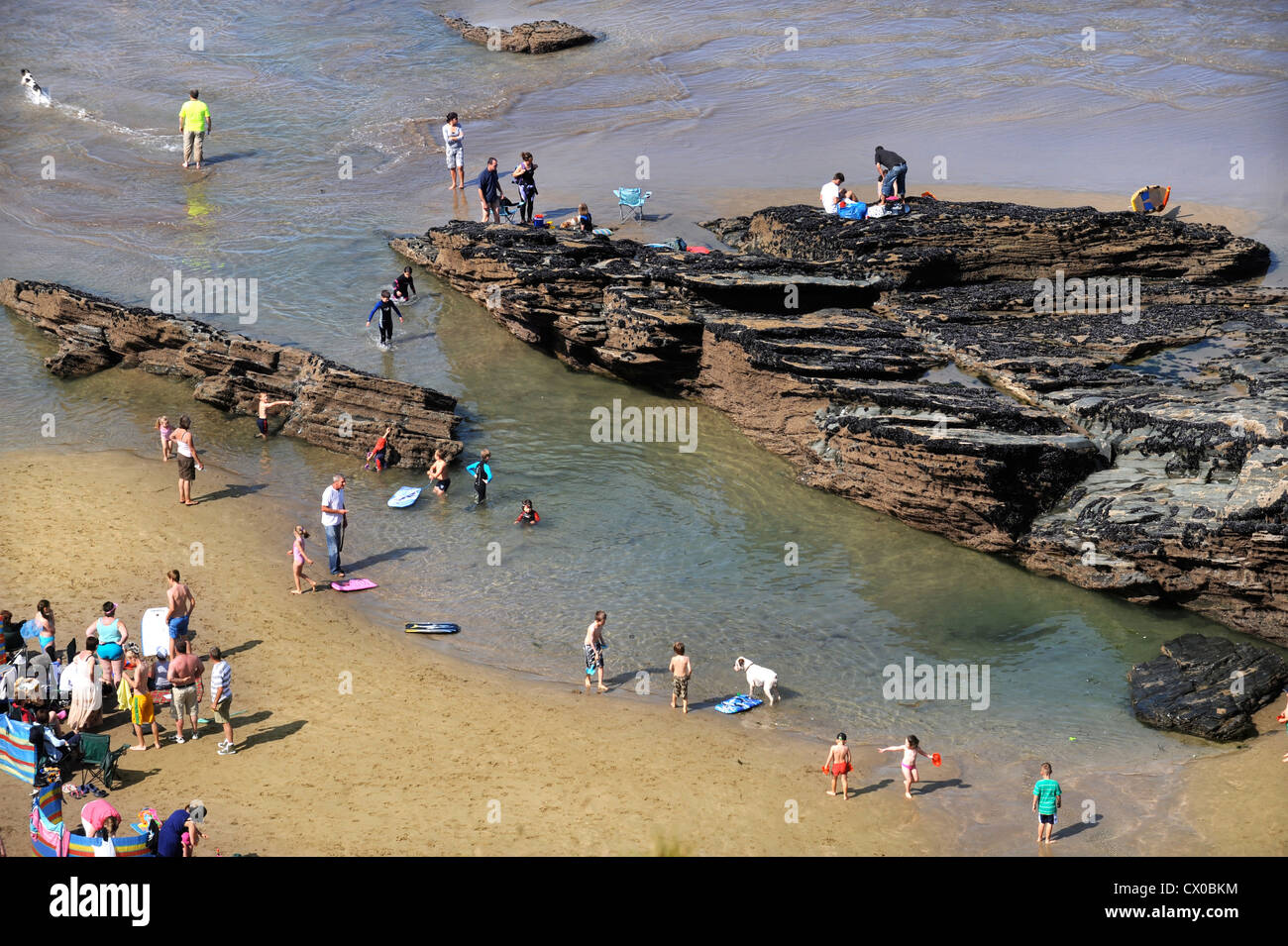 Aerial view of swimmers in swimming pool hi-res stock photography and ...