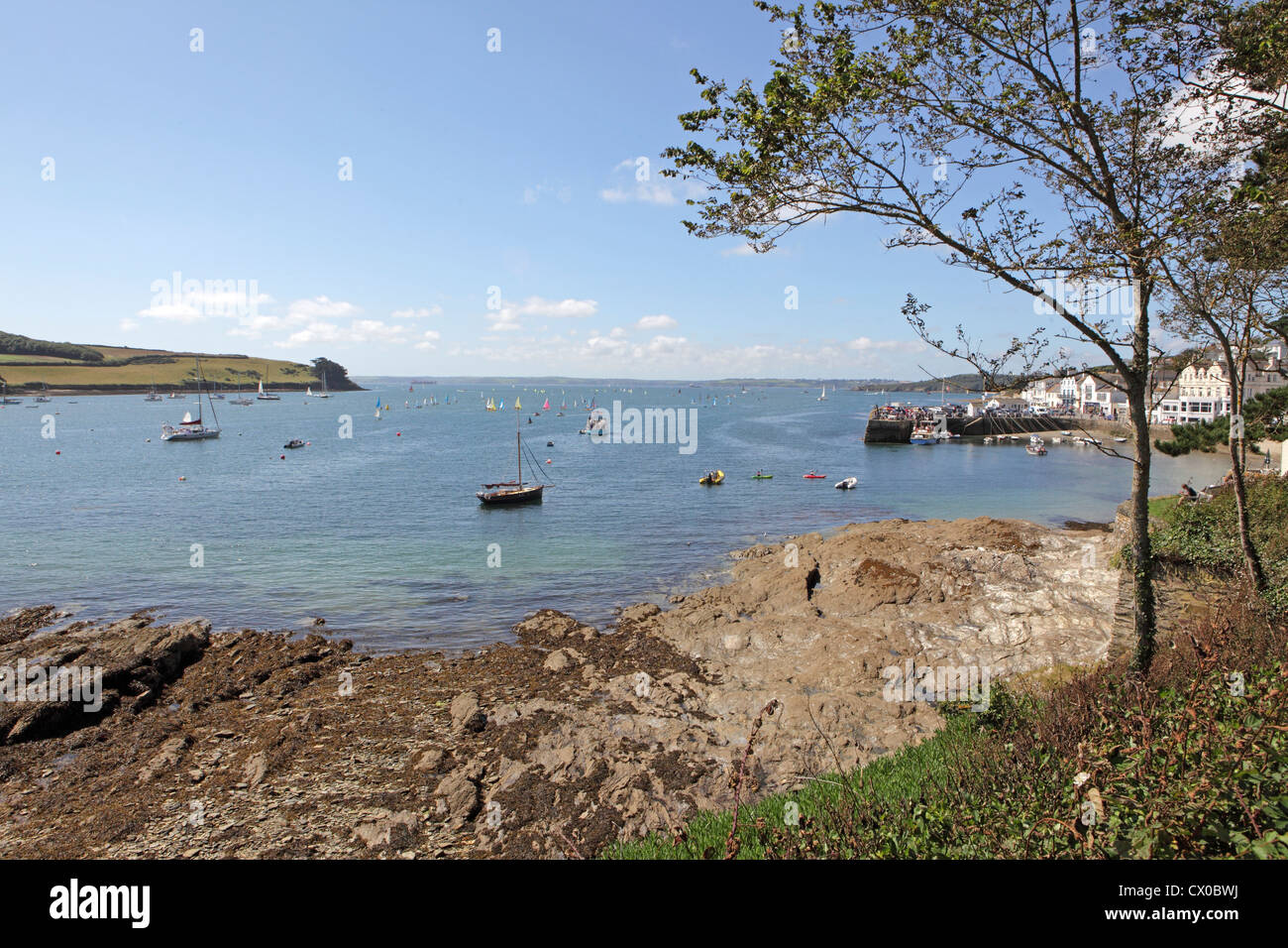 Percuil River estuary at St Mawes, low tide exposing rocky rocks ...