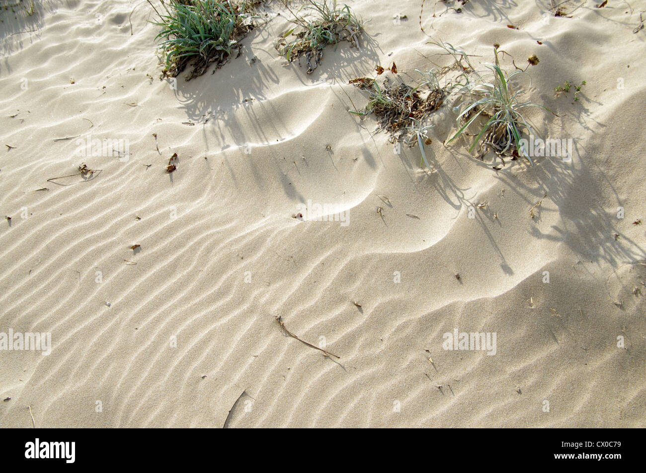Abstract sand shapes hi-res stock photography and images - Alamy
