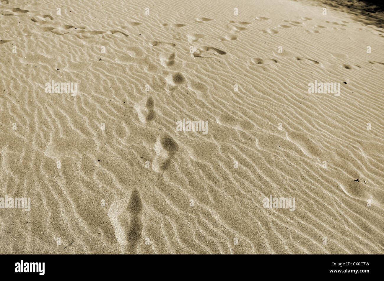 Sand molds hi-res stock photography and images - Alamy