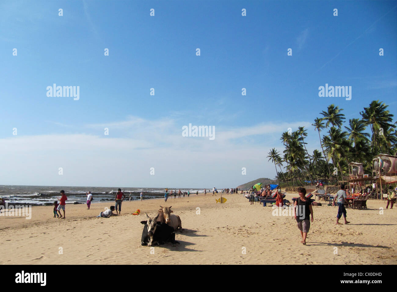 India, Goa region, Goa, Anjuna beach Stock Photo - Alamy