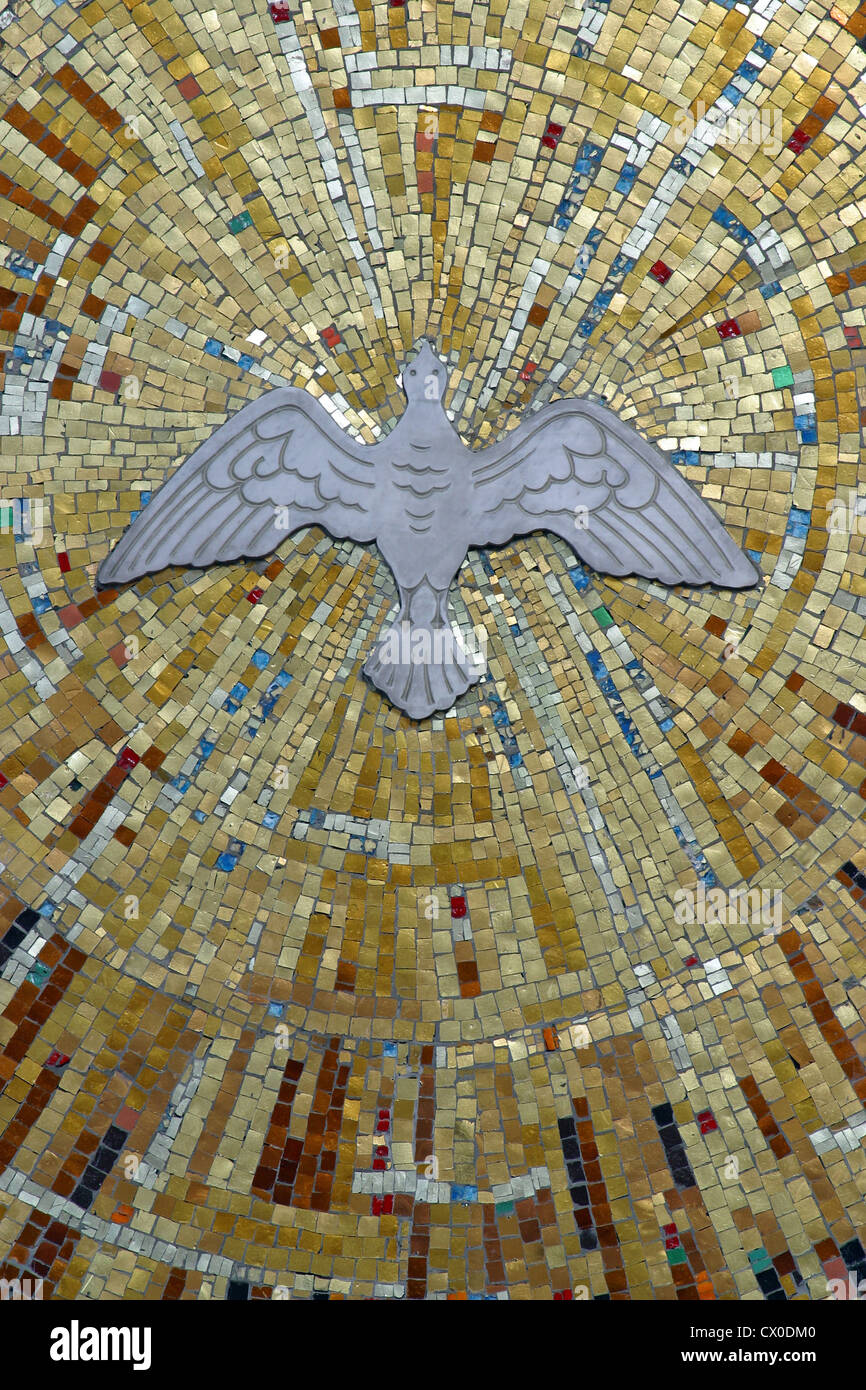Holy Spirit Bird Stock Photo - Alamy