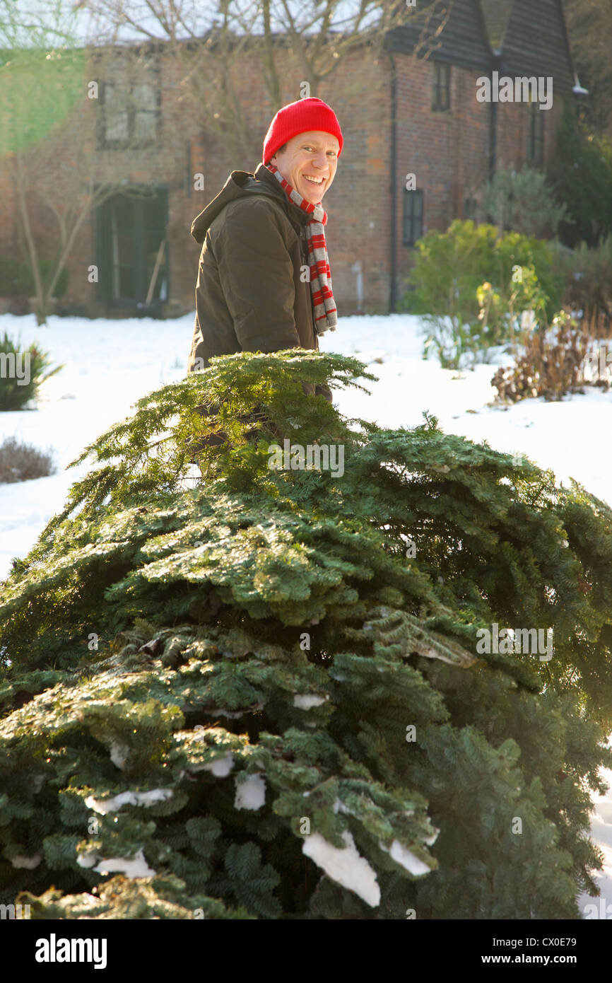 Dragging christmas tree hi-res stock photography and images - Alamy