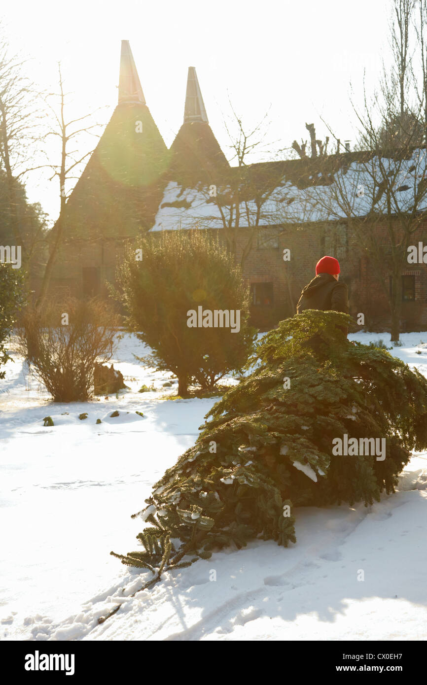 Snow whites home hi-res stock photography and images - Alamy
