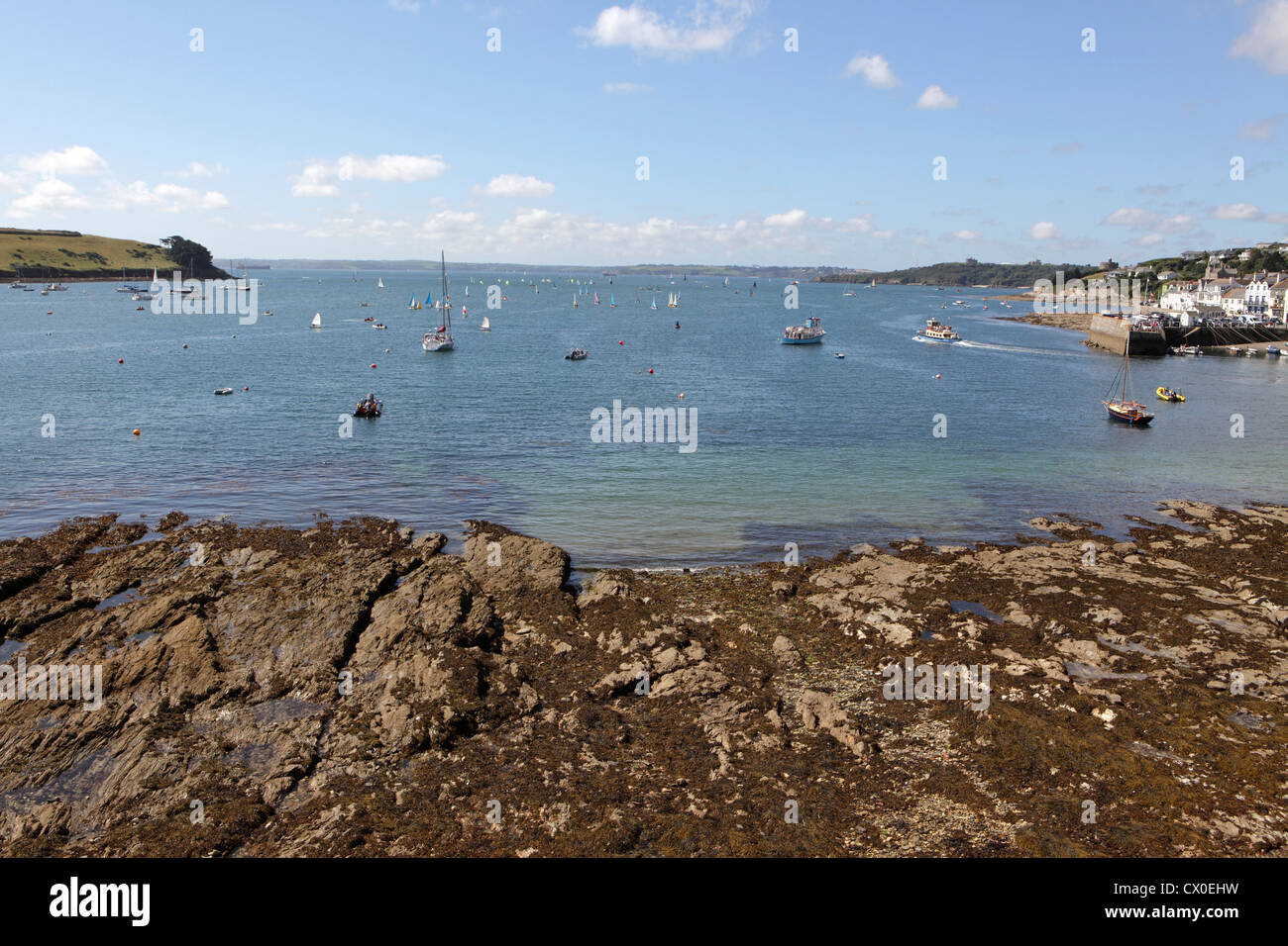 Percuil River estuary at St Mawes, low tide exposing rocky rocks ...