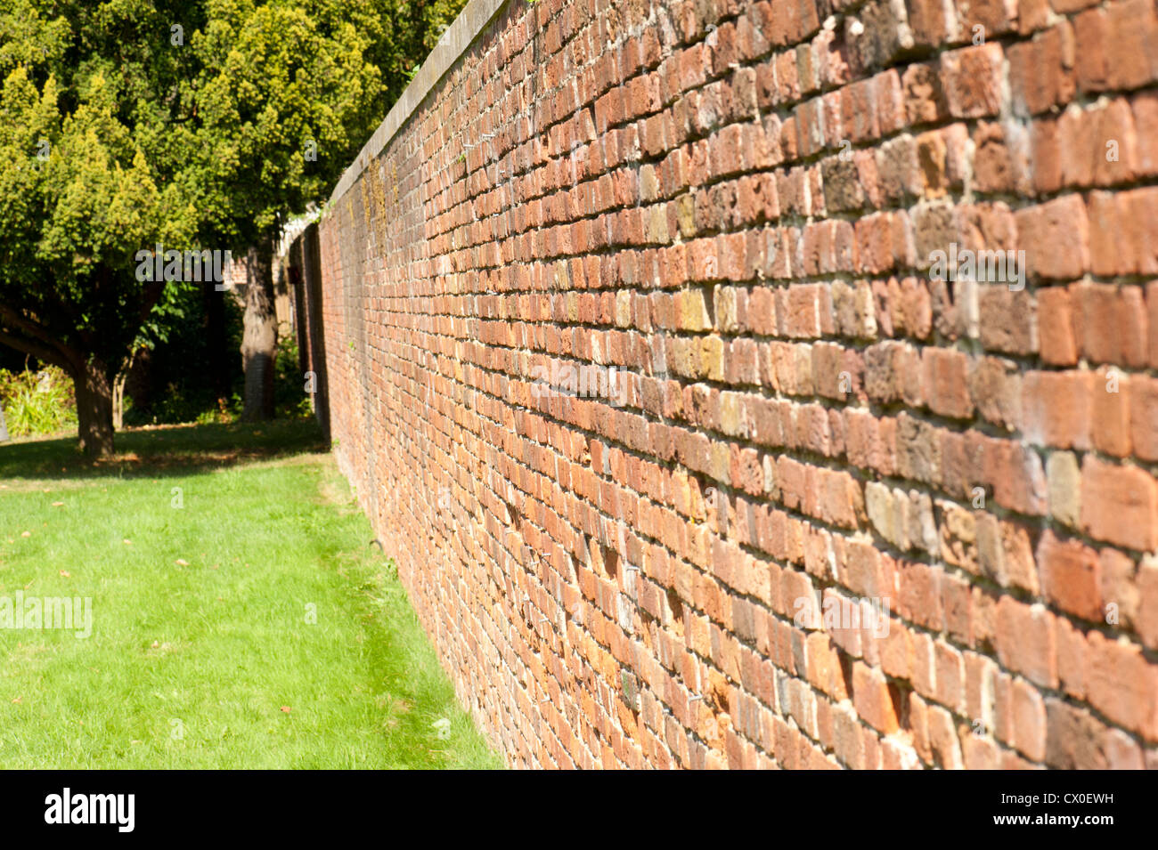 An old brick wall, possibly Tudor, dividing sections of parkland ...