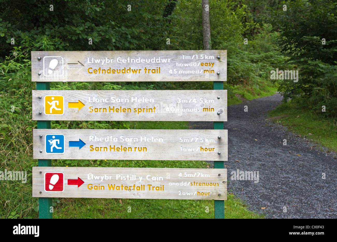 Signpost for graded walking and running trails at Coed y Brenin Forest ...