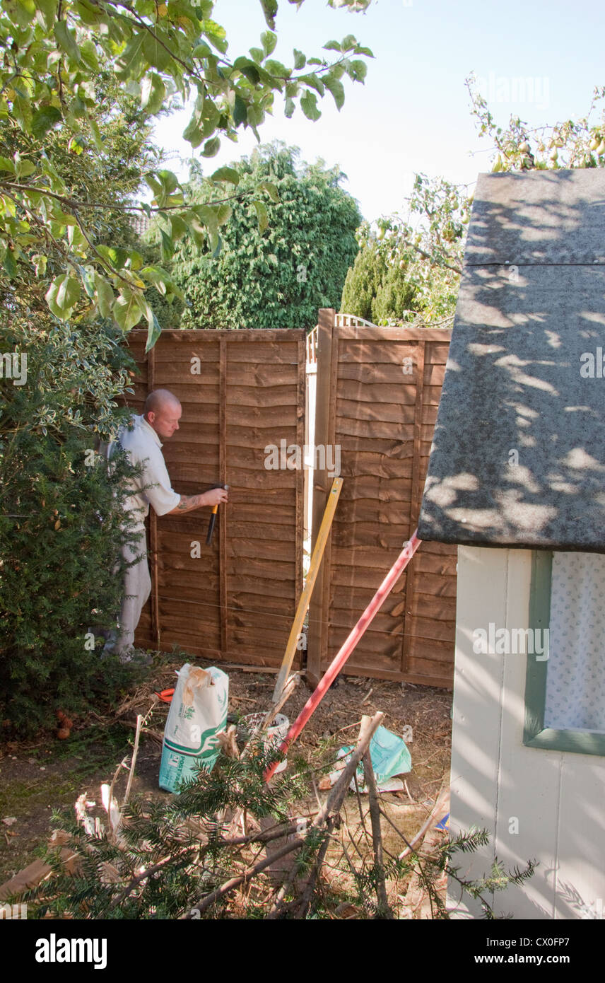 Workman putting up new wooden fence in suburban garden Stock Photo - Alamy