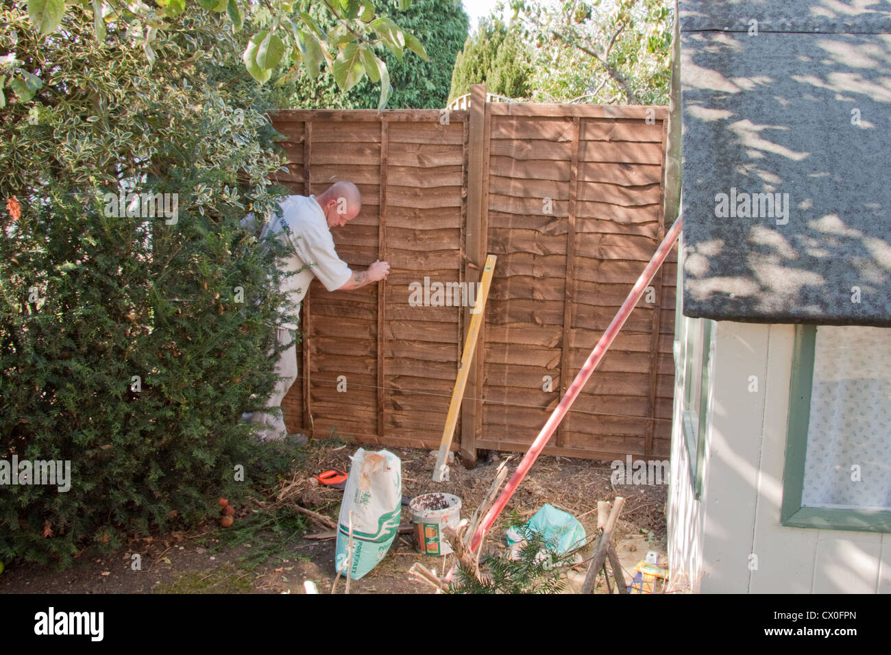 Workman putting up new wooden fence in suburban garden Stock Photo - Alamy