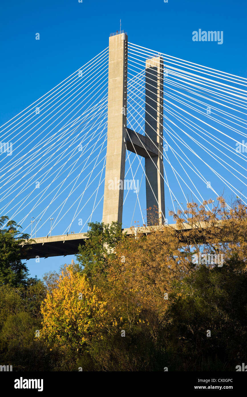 Talmadge Memorial Bridge in Savannah Stock Photo - Alamy